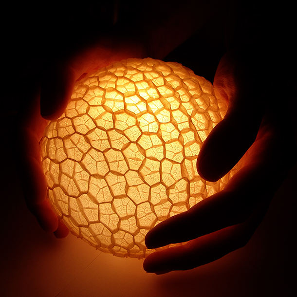 Julia Lohmann - Alchetron, The Free Social Encyclopedia