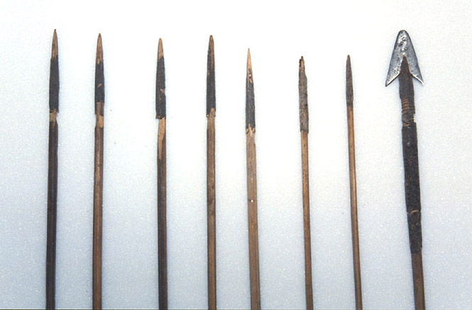 Poisoned arrows from Assam and Burma - Victoria and Albert Museum