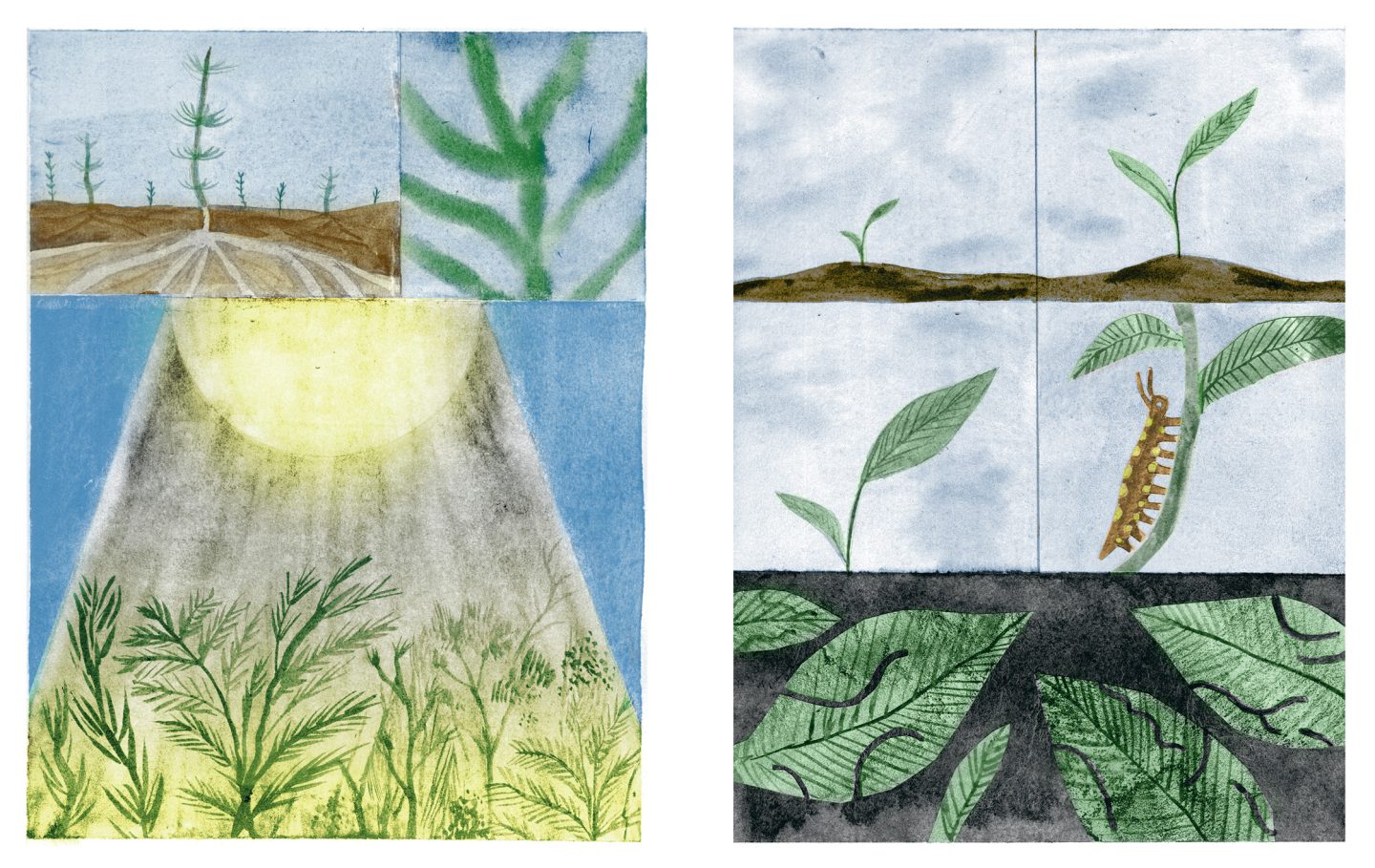 2026 V&A Illustration Awards Shortlist Update • V&A Blog