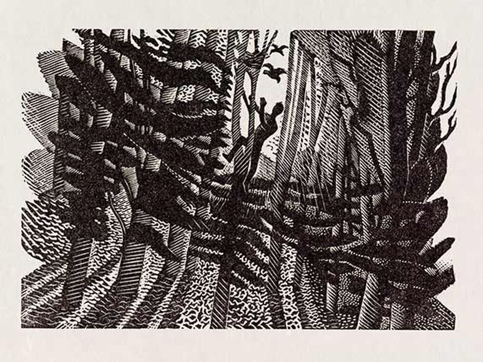 Man Climbing a Tree Custom Print | Eric Ravilious | V&A Shop