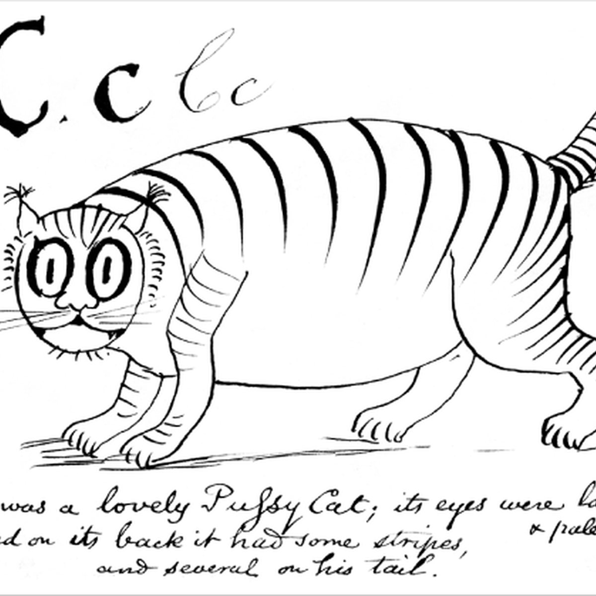 C Was A Lovely Pussy Cat Vanda Shop