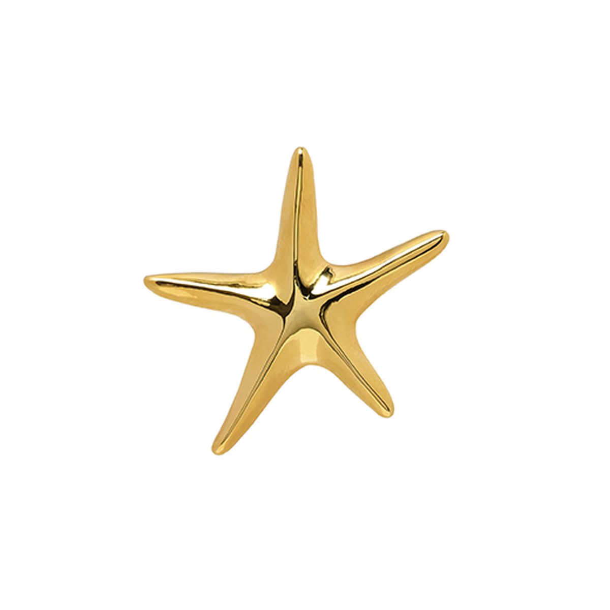 Starfish brooch | Brooch| Jewellery | V&A Shop