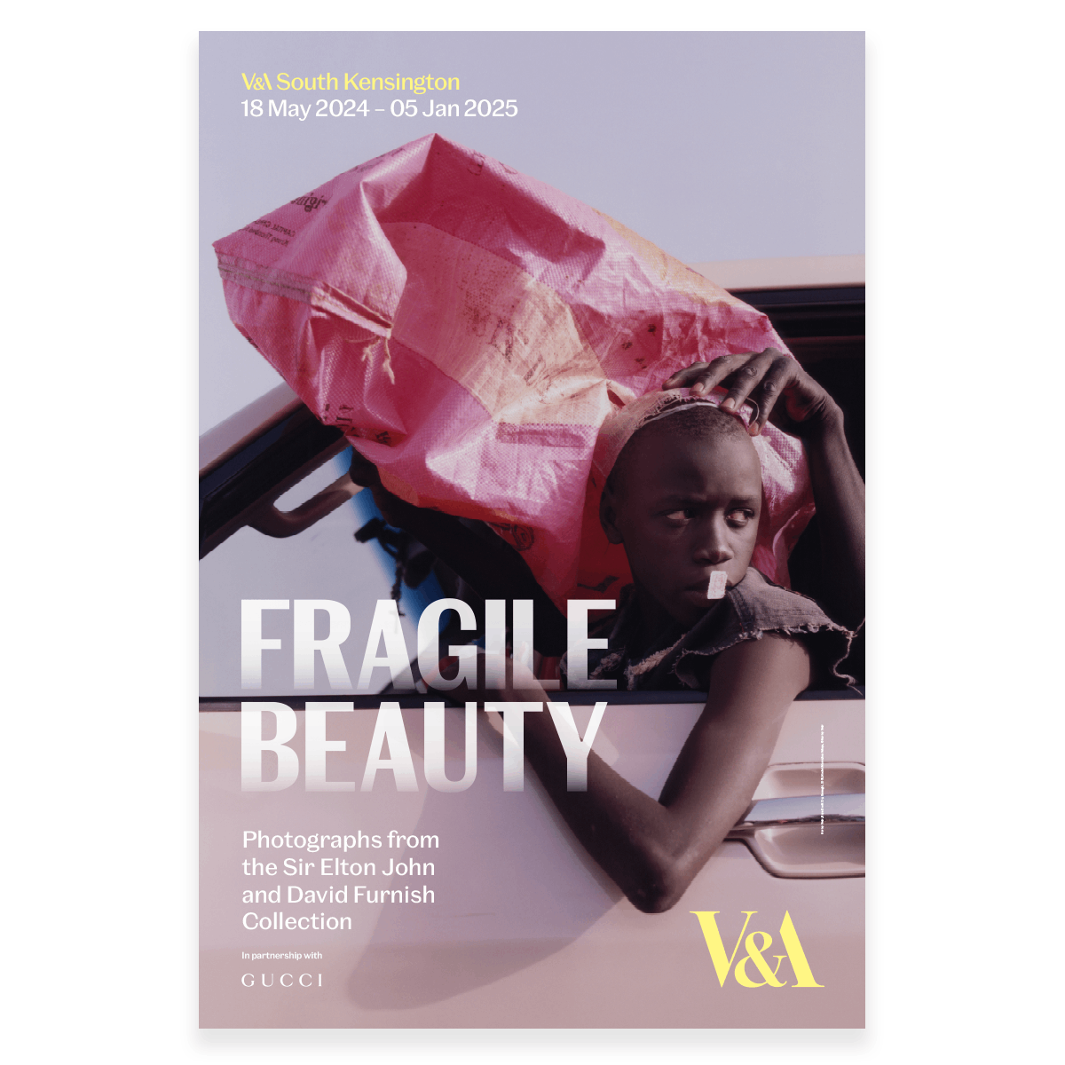 Fragile Beauty Boys Don’t Cry exhibition poster | Prints & posters | V ...