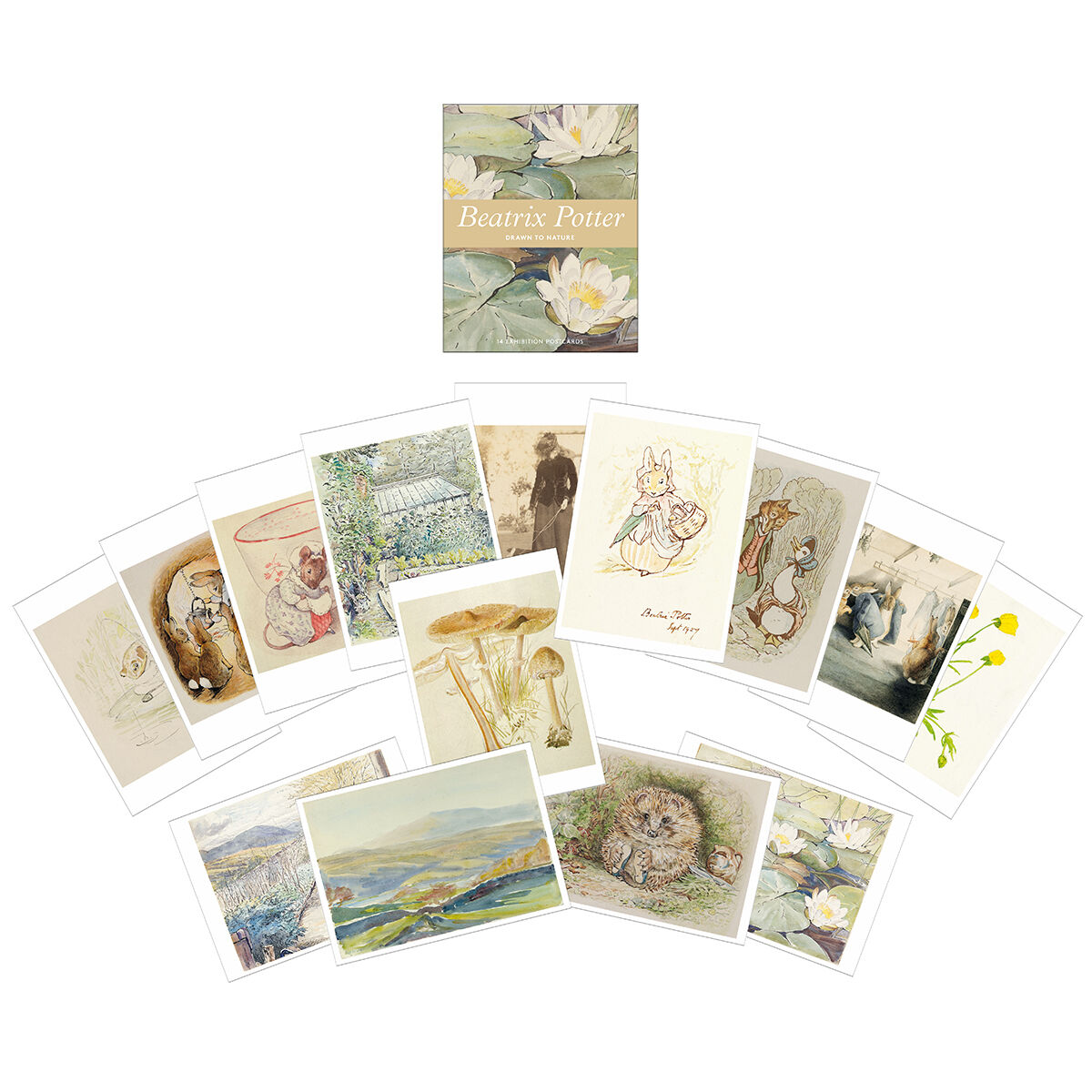 Beatrix Potter Postcard Pack | V&A Shop