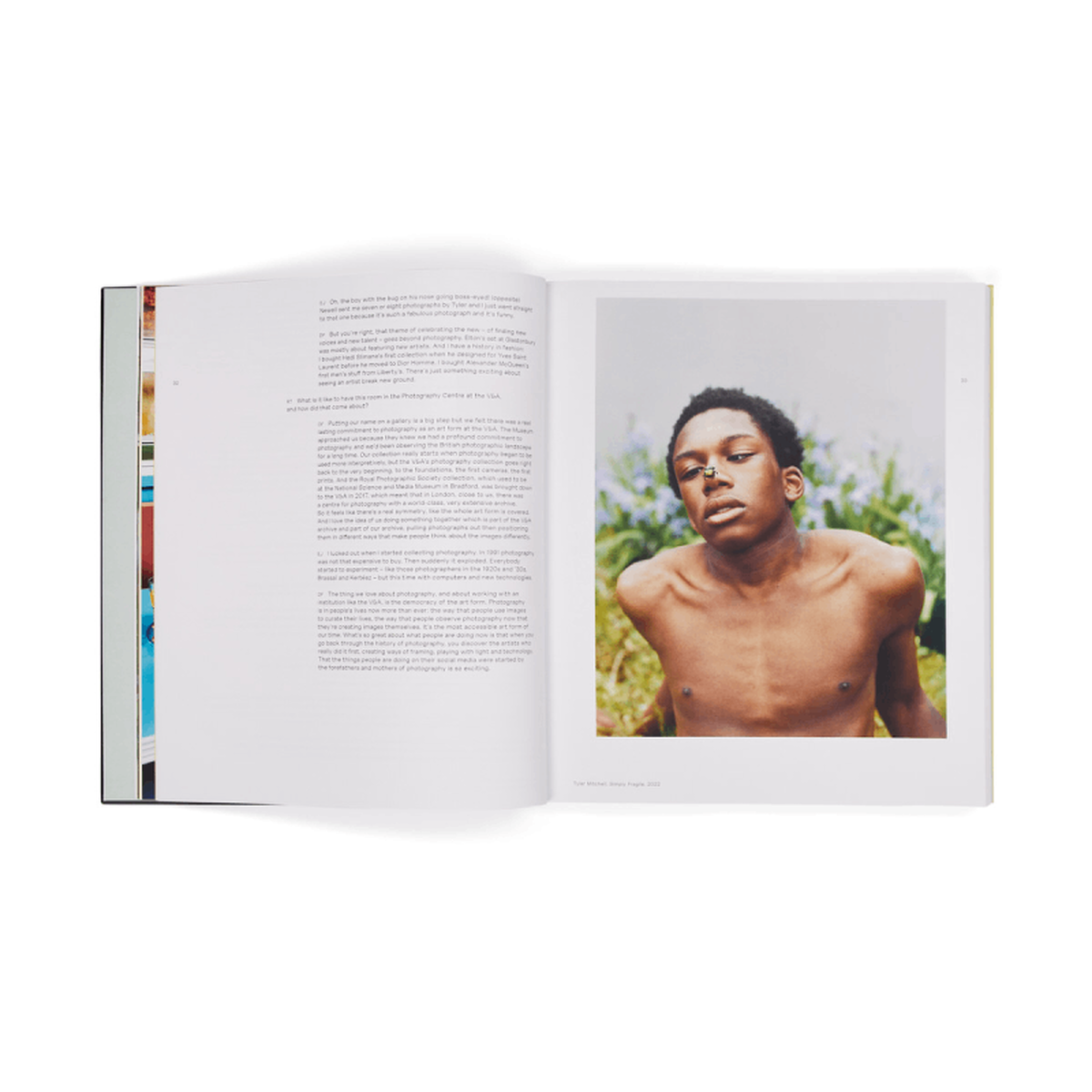 Fragile Beauty: Photographs from the Sir Elton John and David Furnish ...